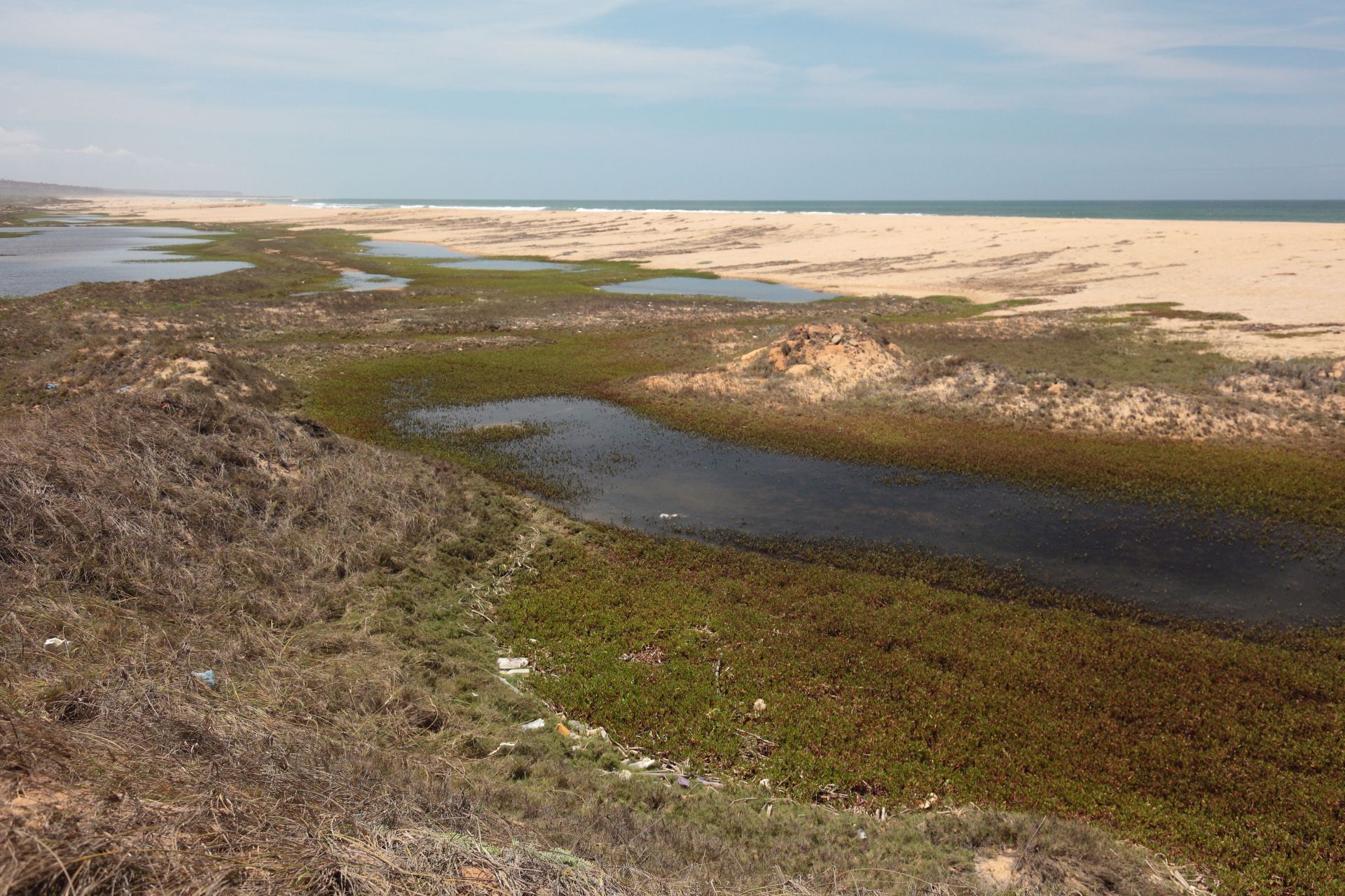 Mussulo Bay Sedimentological Model (Angola)